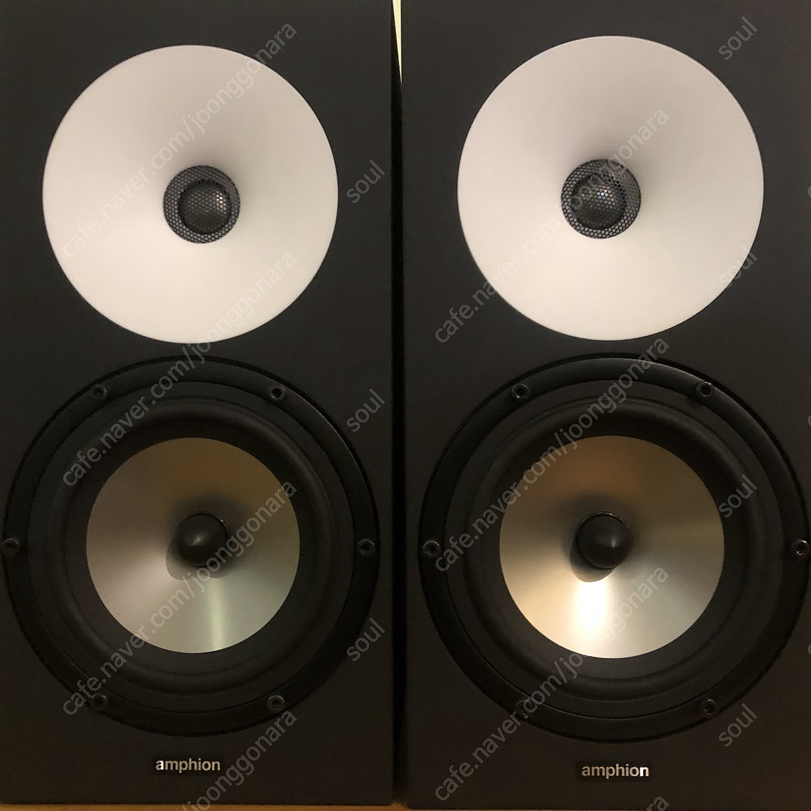 Amphion One 18 | Amp 700 Bundle 박삥급 판매합니다.
