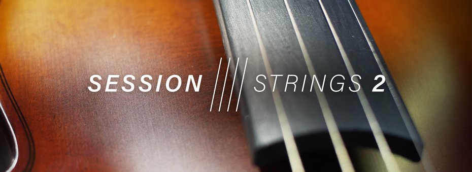 NI SESSION STRINGS PRO 2 발표