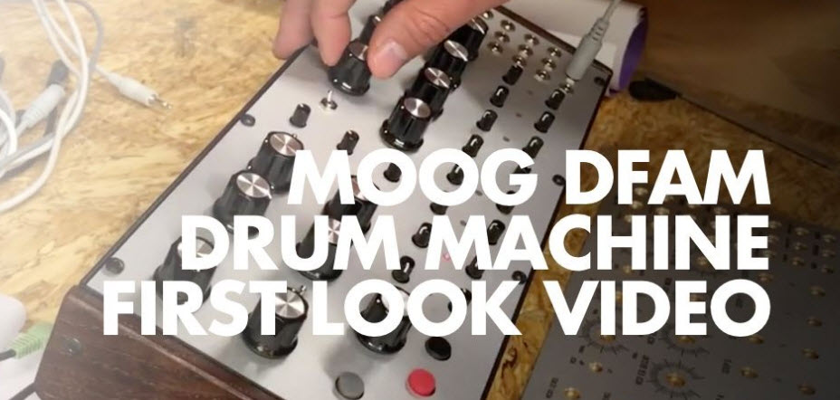 Moog Drum Machine
