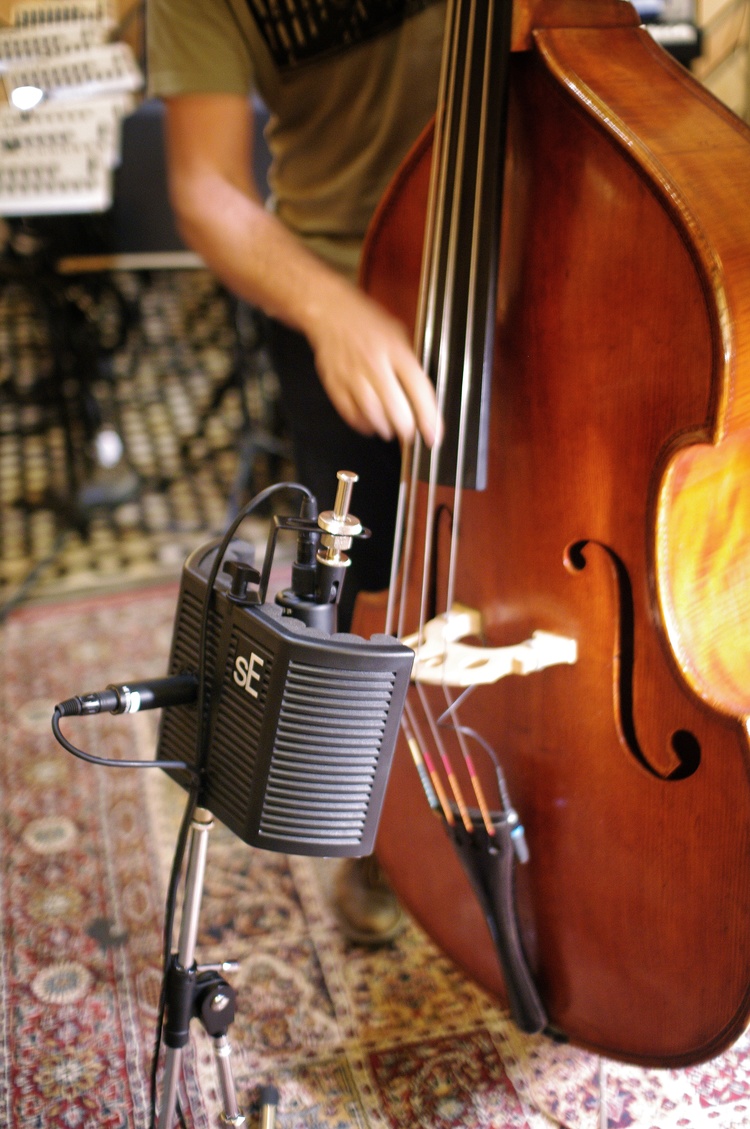 sE Electronics guitaRF